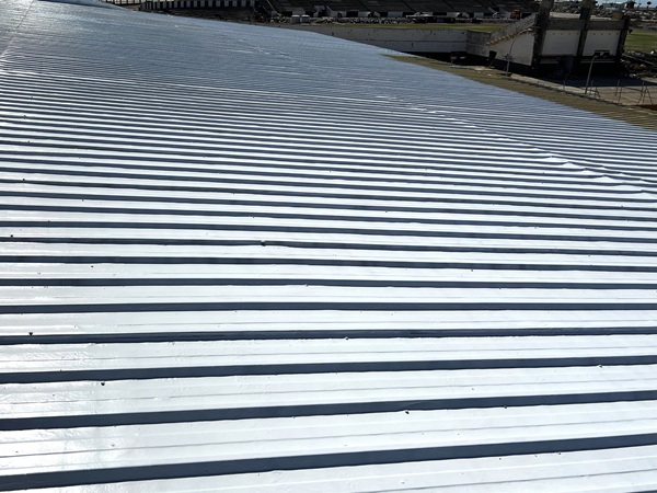 POLYUREA RAYSTON | kryptonegypt